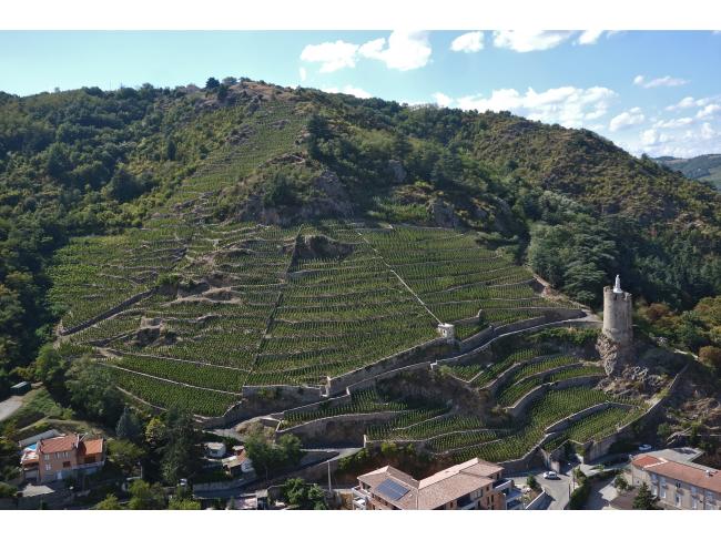 PHOTO GALLERY Vineyards | E.GUIGAL